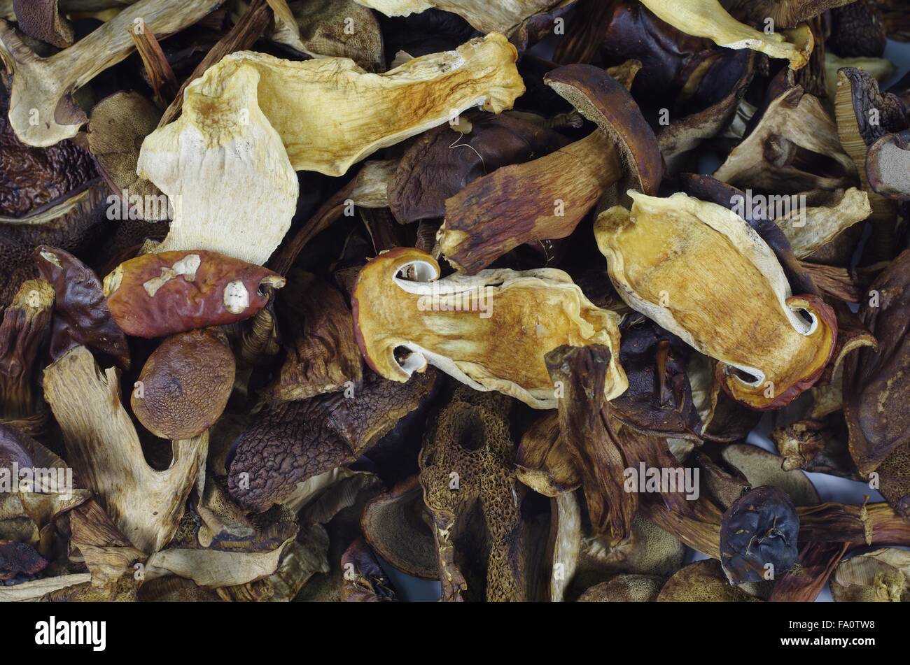 closeup dry mushrooms boletus as background texture Stock Photo - Alamy