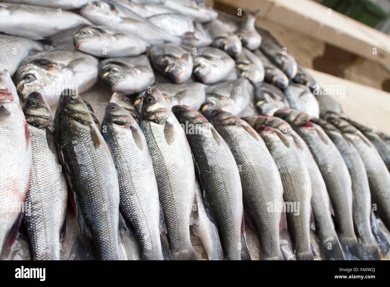 Market fish hi-res stock photography and images - Alamy