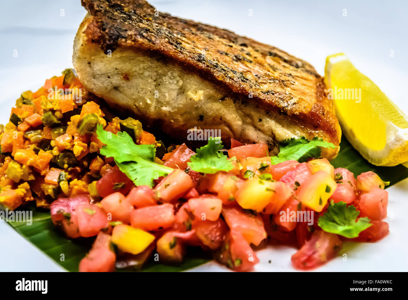 Pan fried white snapper Stock Photo - Alamy