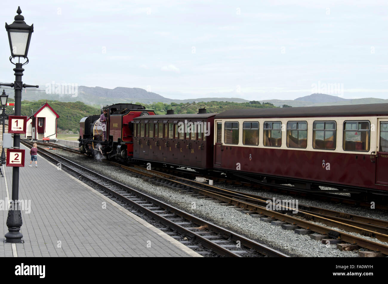 Garratt steam locomotive on the Welsh Highland Railway in North Wales ...