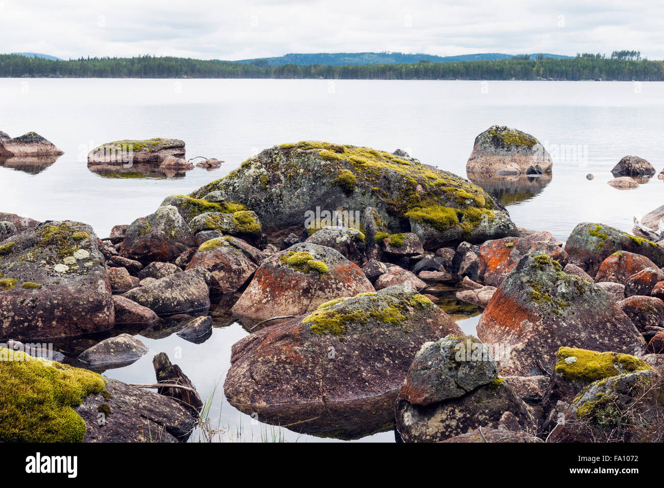 Landscape with lake Stock Photo - Alamy