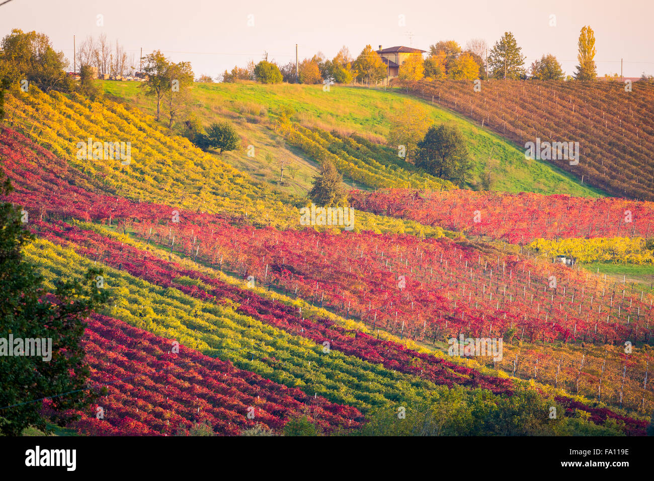 Castelvetro di modena hi-res stock photography and images - Alamy