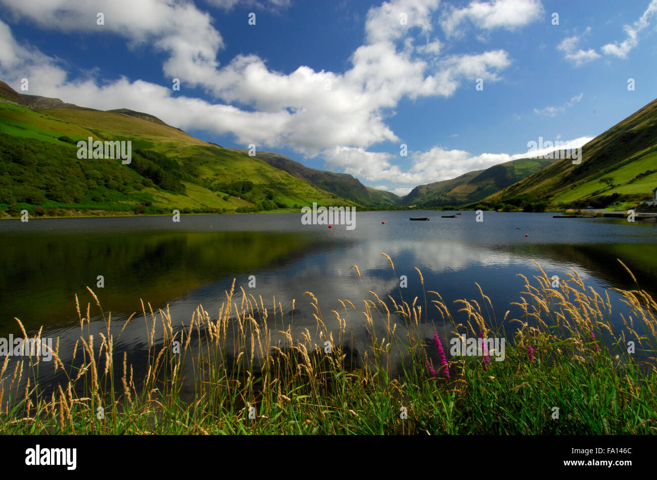 Tal-y-Llyn ( Llyn Mwyngil) Wales UK Stock Photo - Alamy Tal-y-Llyn ( Llyn Mwyngil) Wales UK Stock Photo - Alamy
