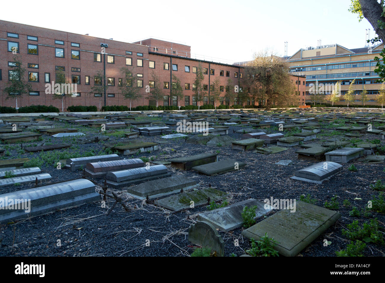 Beth Chaim Novo (Nuevo) Sephardic Jewish Cemetery, Mile End Road ...