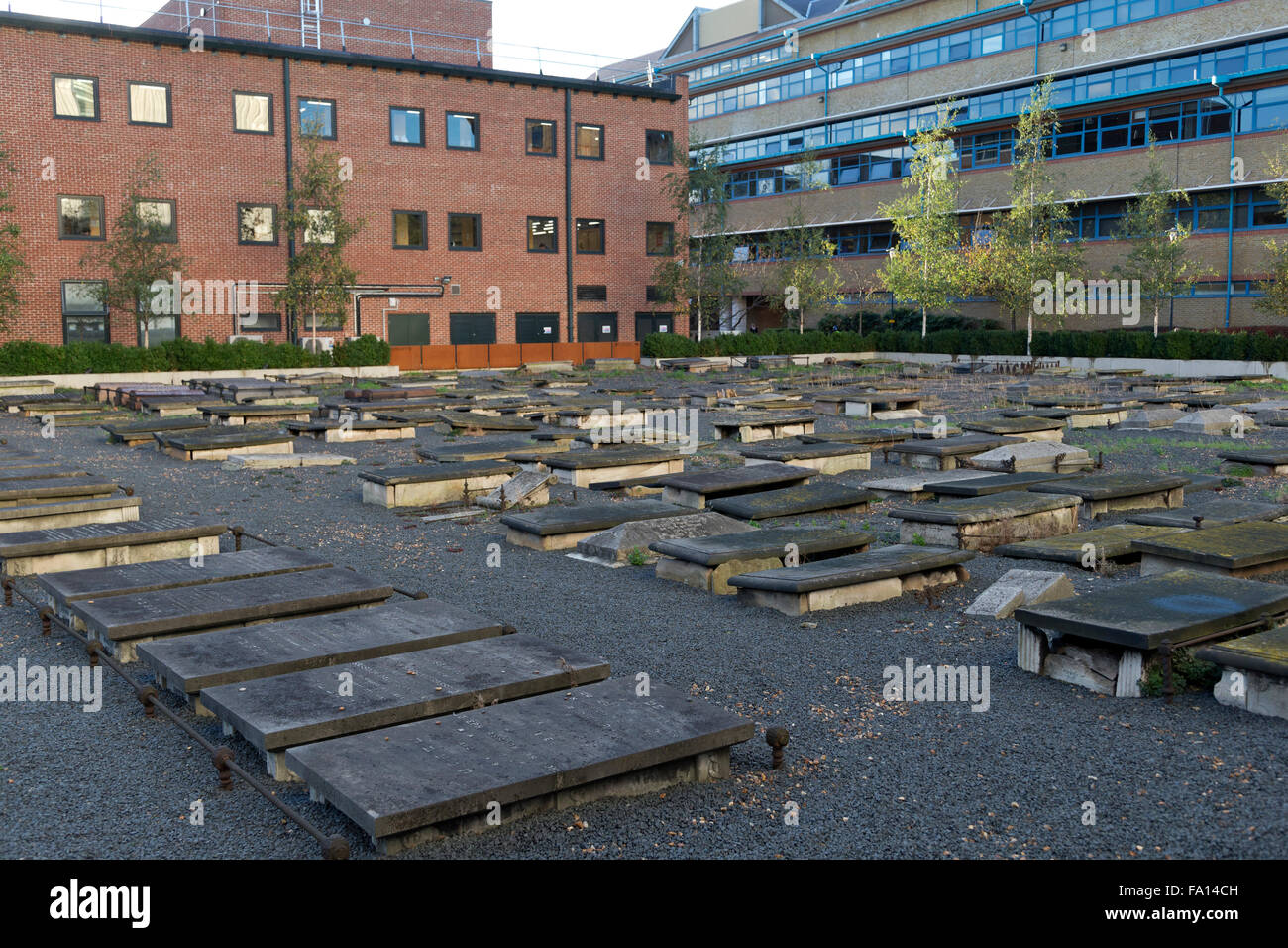 Beth Chaim Novo (Nuevo) Sephardic Jewish Cemetery, Mile End Road ...