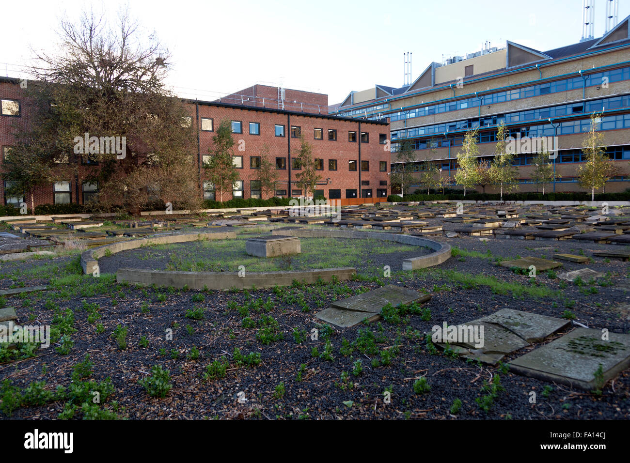 Beth Chaim Novo (Nuevo) Sephardic Jewish Cemetery, Mile End Road ...