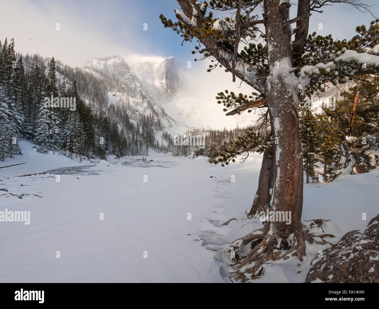Early morning fresh snowfall in the Rocky Mountains Stock Photo - Alamy