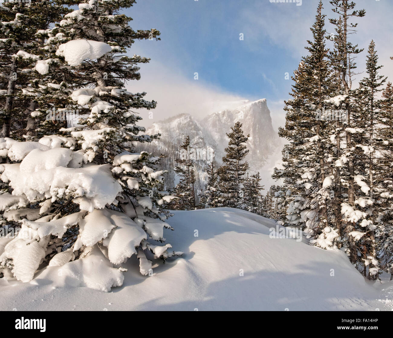 Early morning fresh snowfall in the Rocky Mountains Stock Photo - Alamy