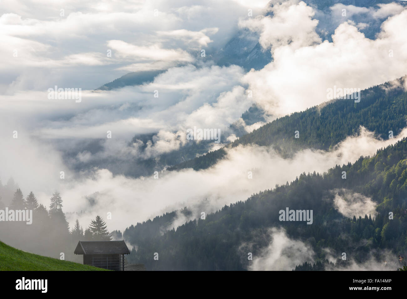 Small alpine house in green forest mountains in the foggy morning Stock ...