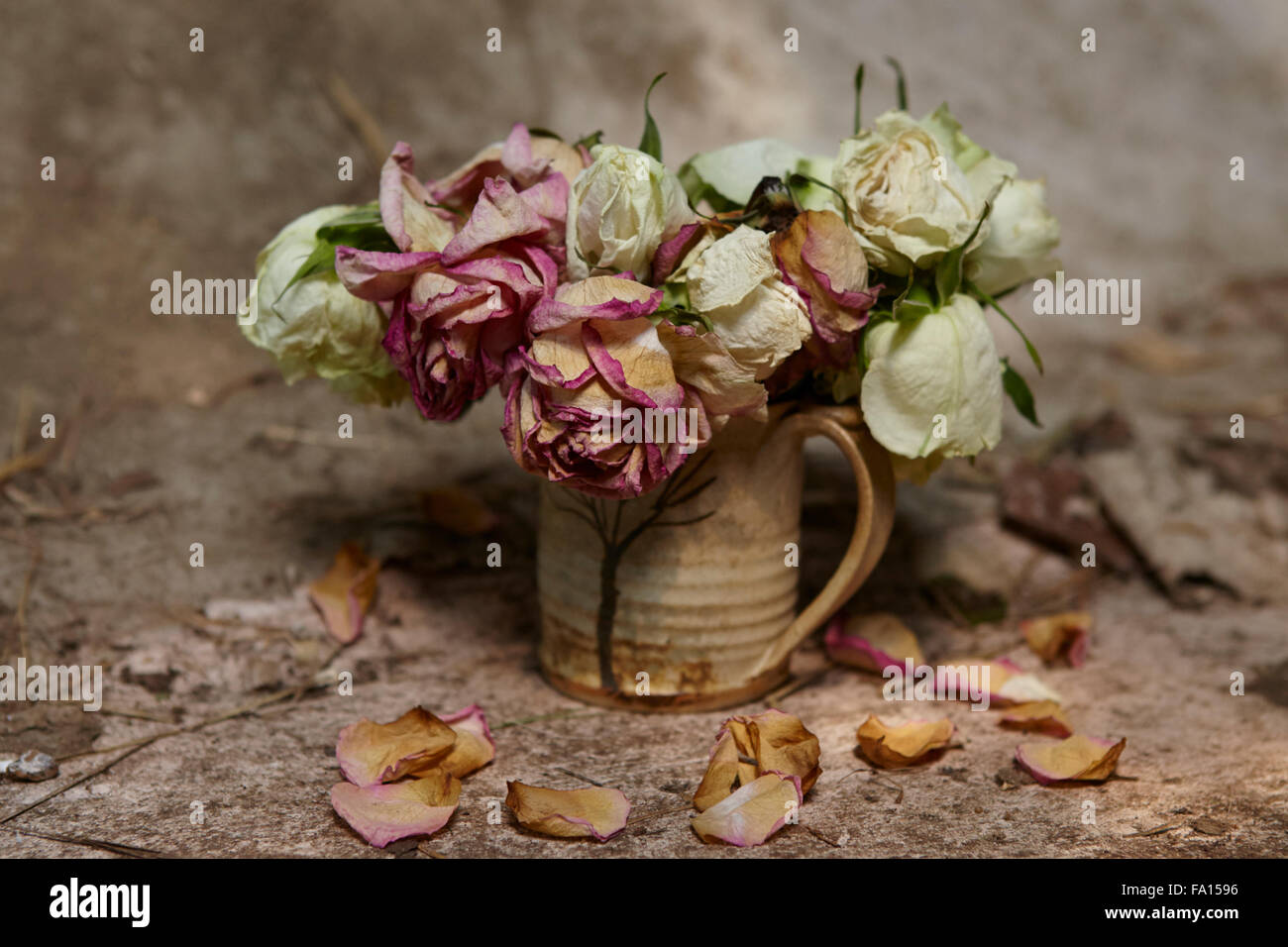 Faded roses photographed in a grungy setting Stock Photo - Alamy