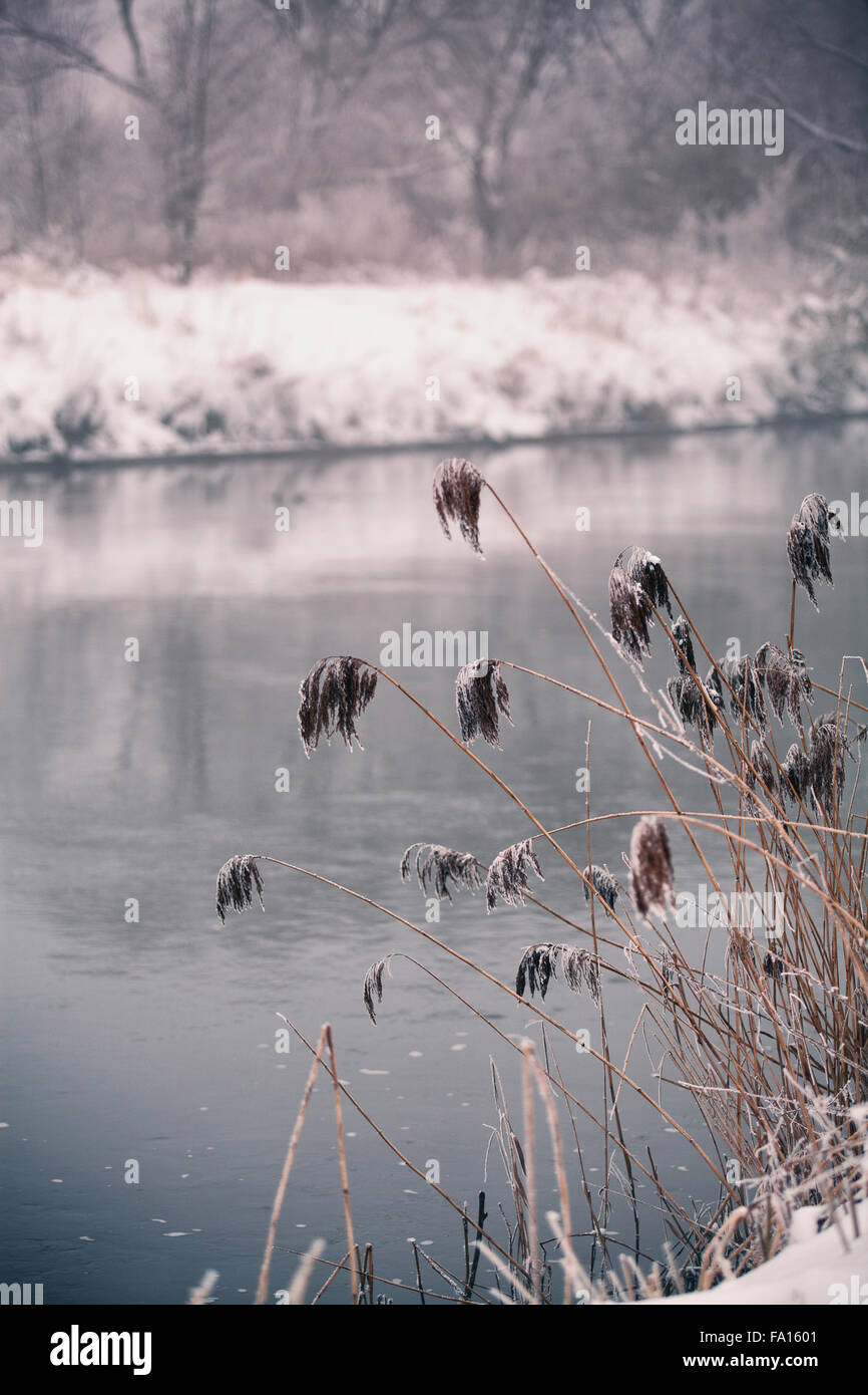 Snow and winter. Belarus village, countryside in winter Stock Photo - Alamy