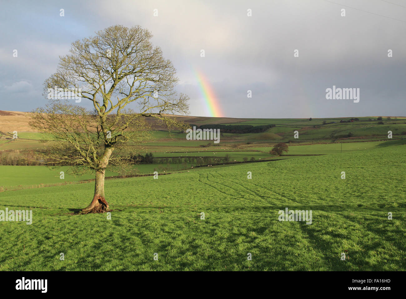 A winter rainbow Stock Photo - Alamy