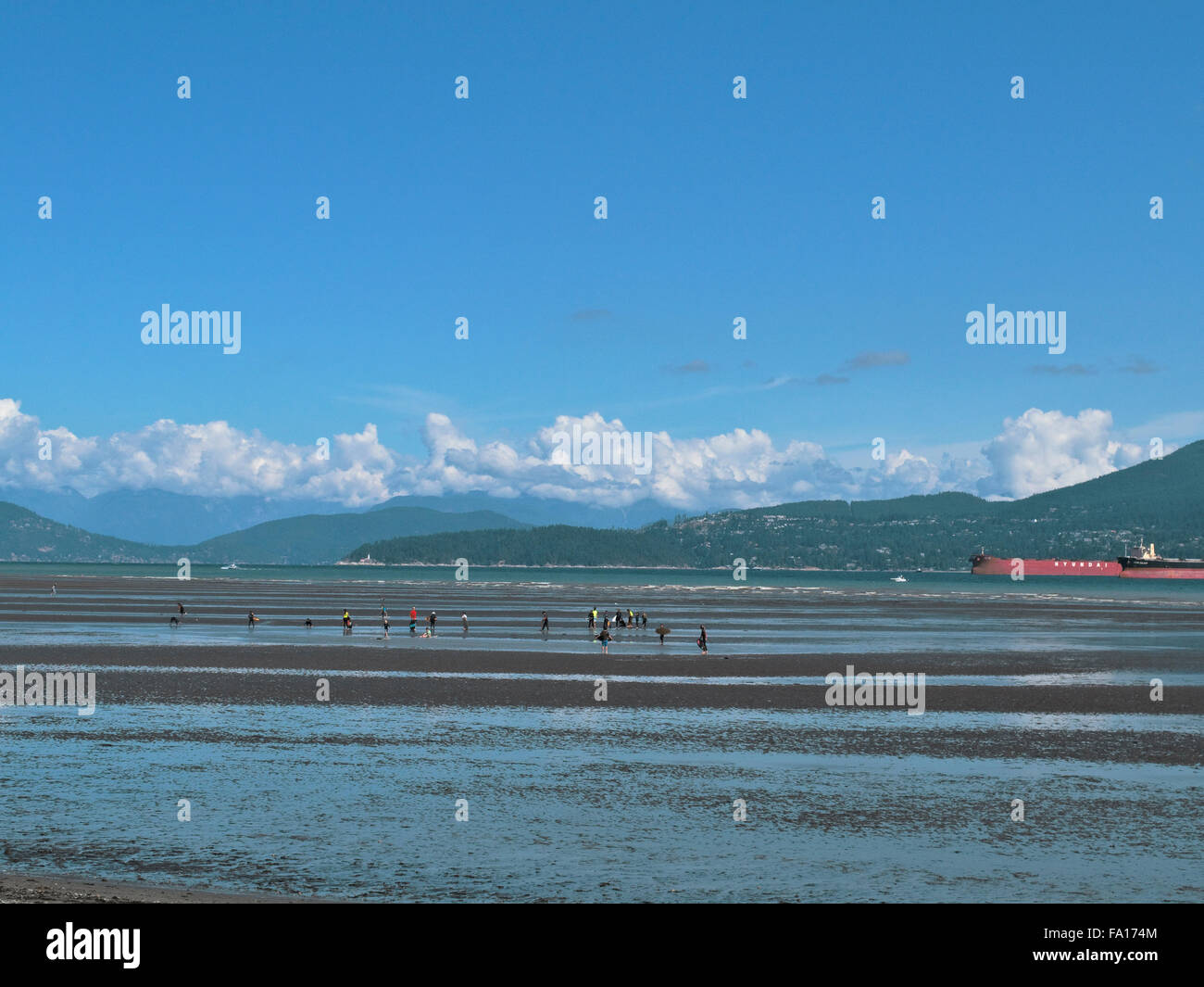 People exploring beach during low tide in Vancouver harbor Stock Photo ...