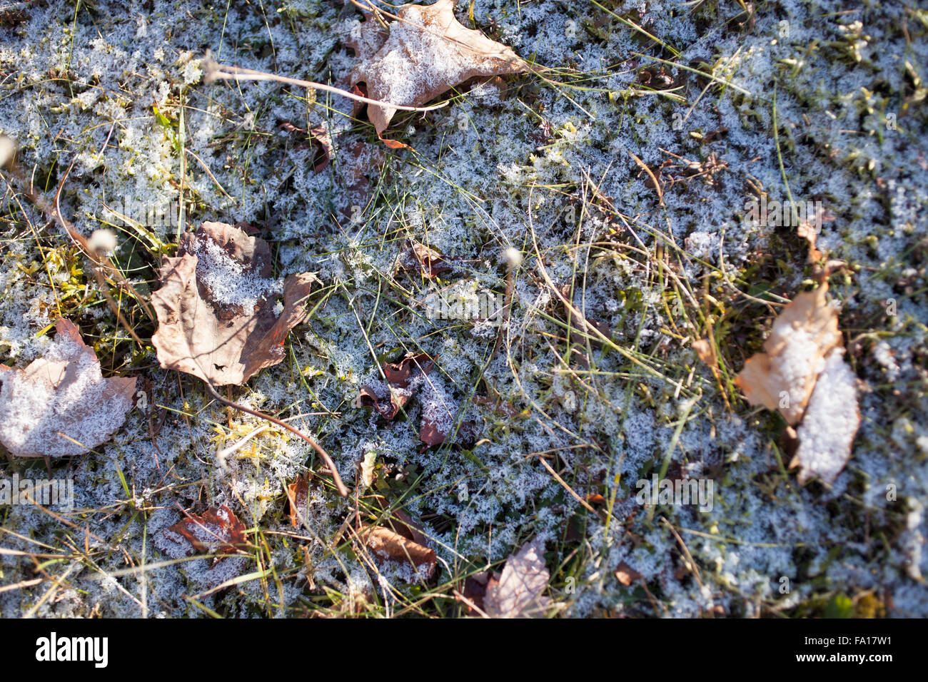 Late fall trees hi-res stock photography and images - Alamy