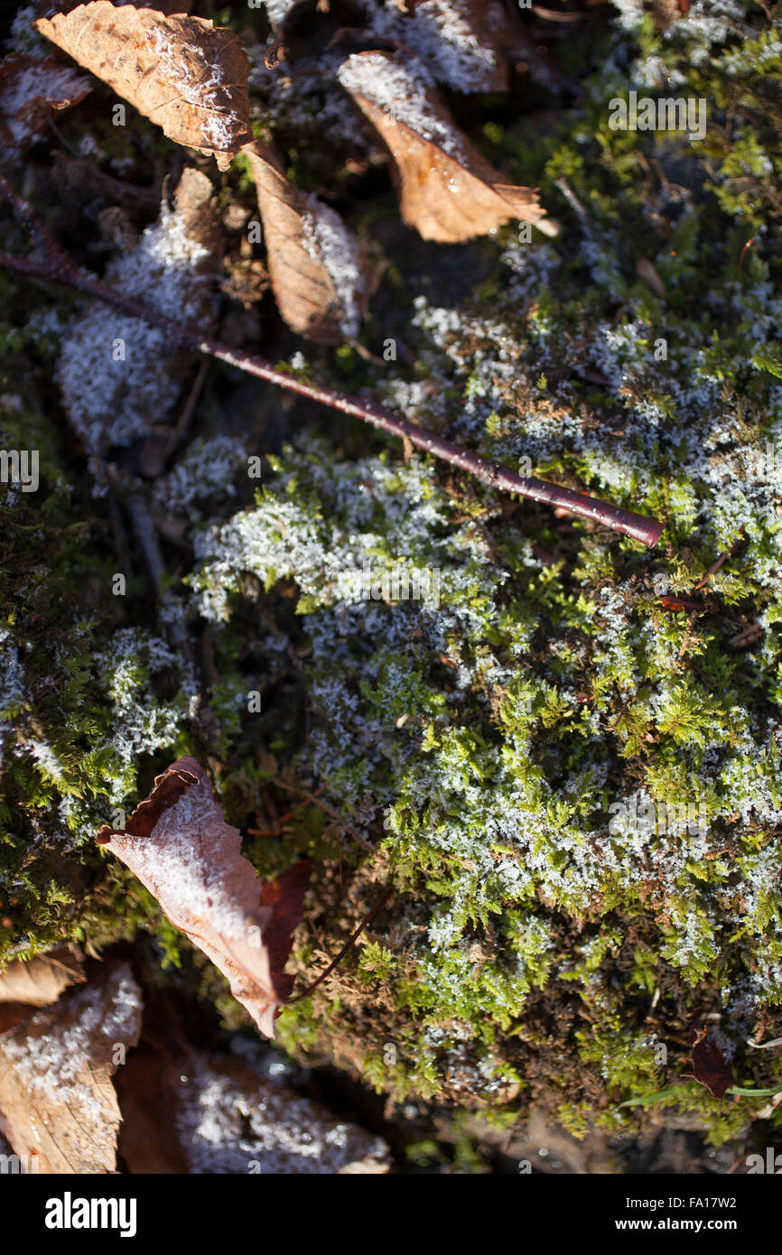 Late fall sunlight hi-res stock photography and images - Alamy