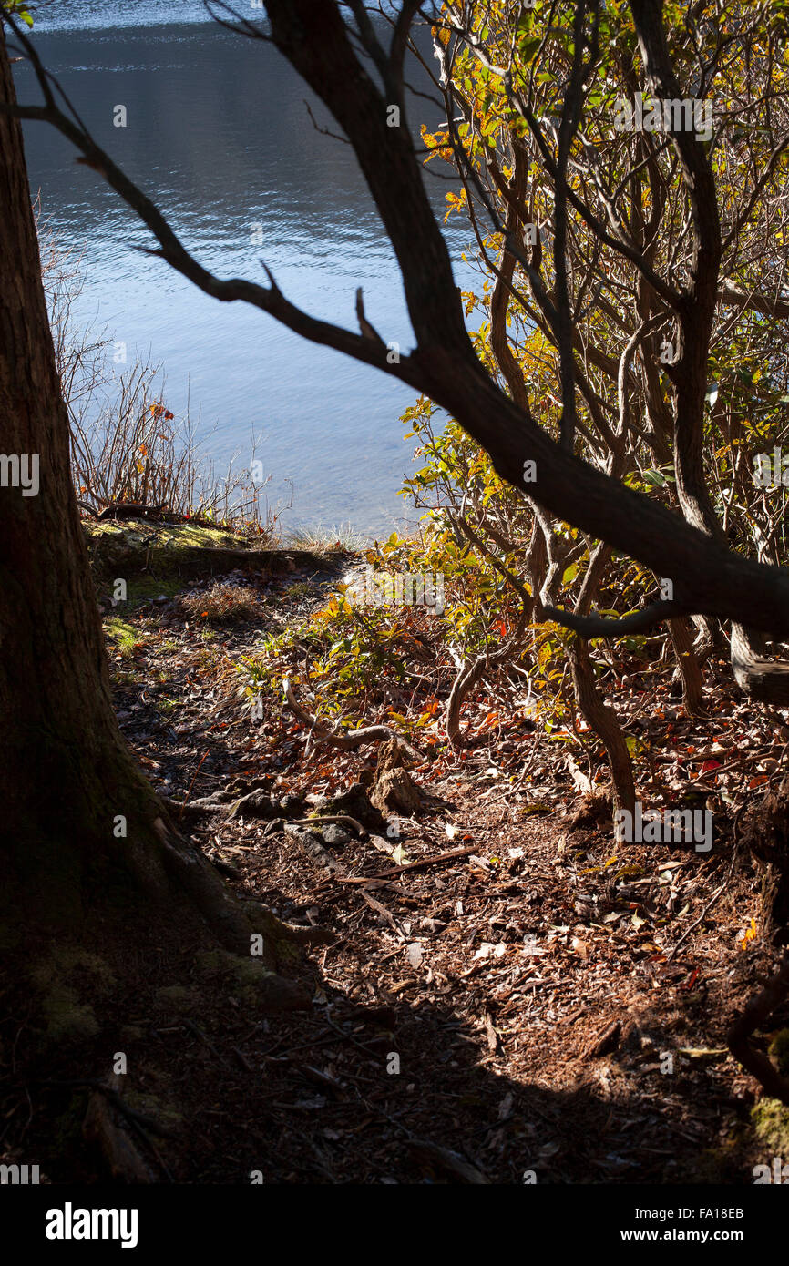 Mountain pond in late fall season, Savoy, Massachusetts Stock Photo - Alamy