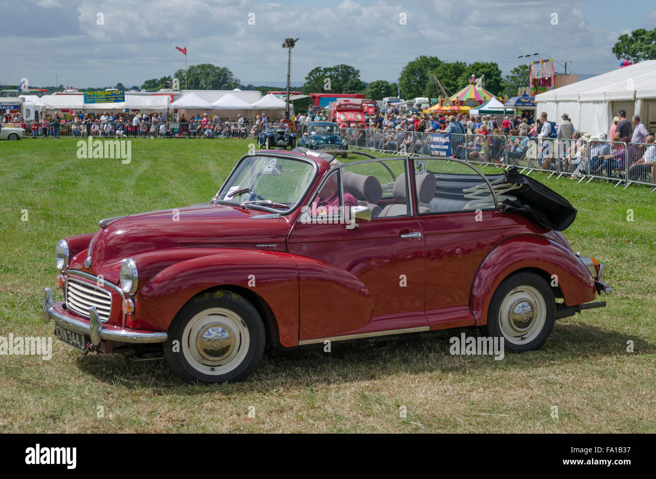 Maroon 1971 Morris Minor convertible being driven around a parade ...