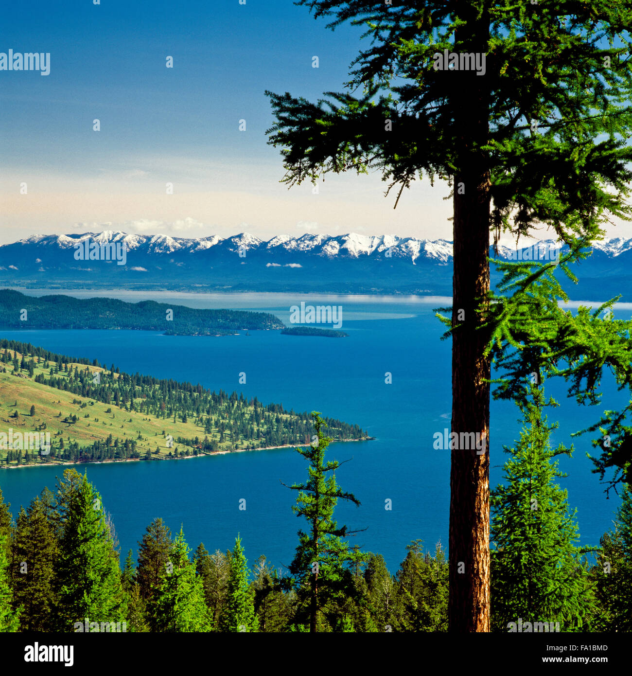 Spring snow capped mountains horse hi-res stock photography and images ...