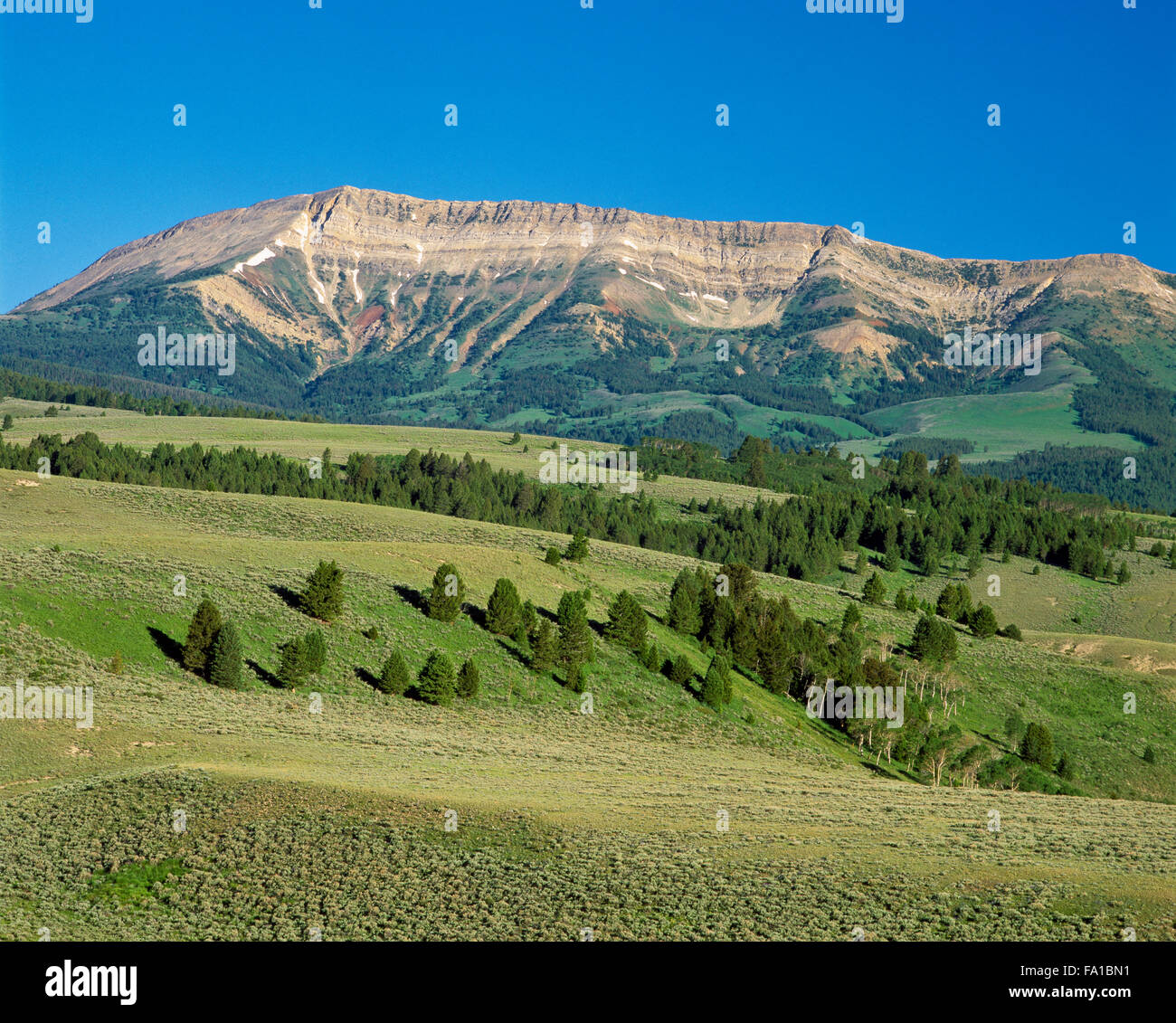 Upper ruby river basin hi-res stock photography and images - Alamy