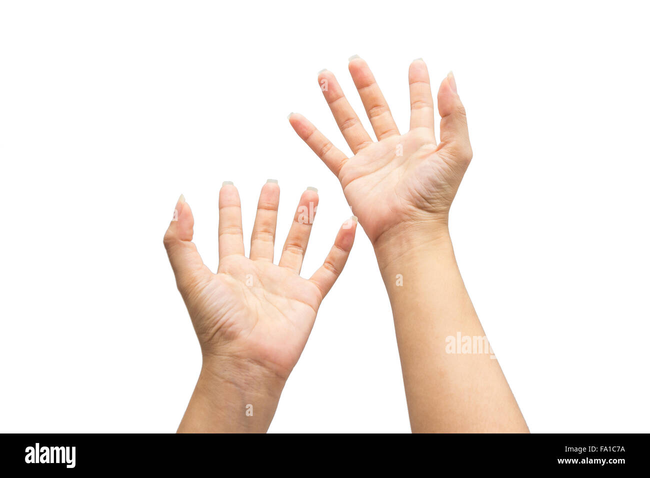 Two hands isolated on white background Stock Photo - Alamy