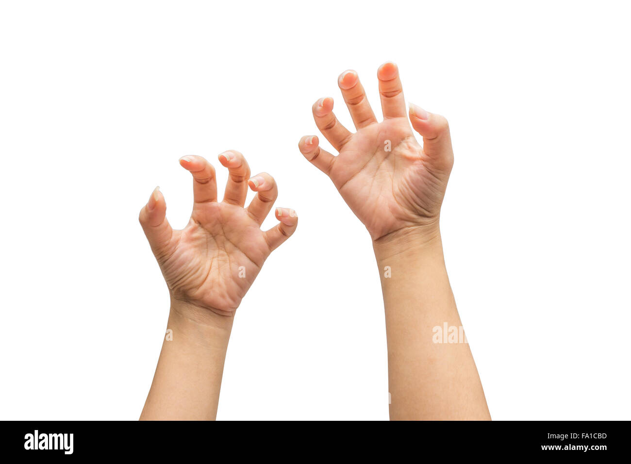 Two hands isolated on white background Stock Photo - Alamy