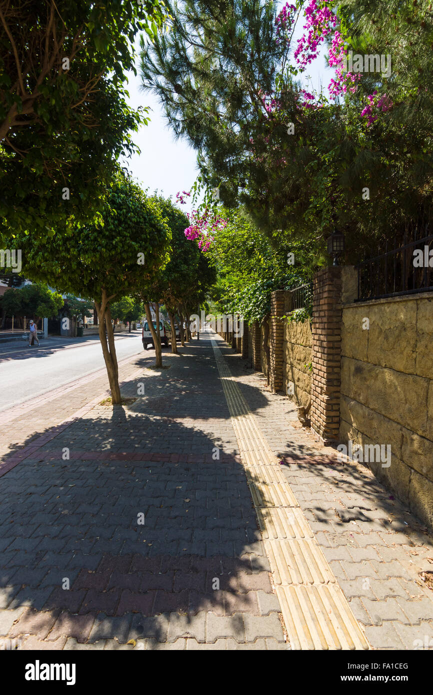 Shady street hi-res stock photography and images - Alamy