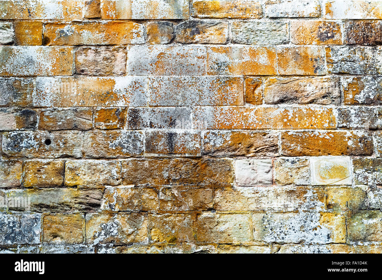 Limestone wall texture hi-res stock photography and images - Alamy