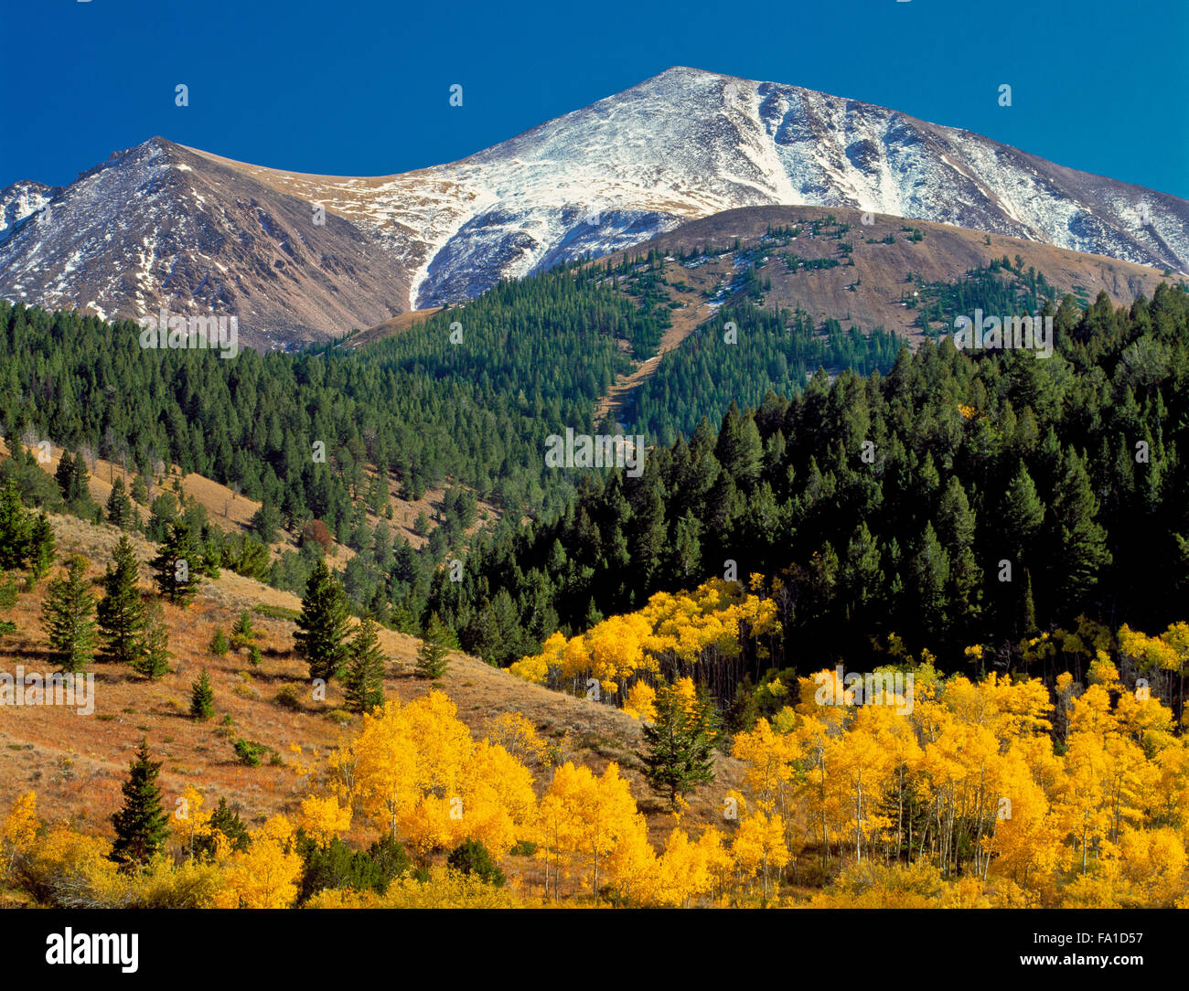 autumn colors below garfield mountain in the lima peaks near lima ...