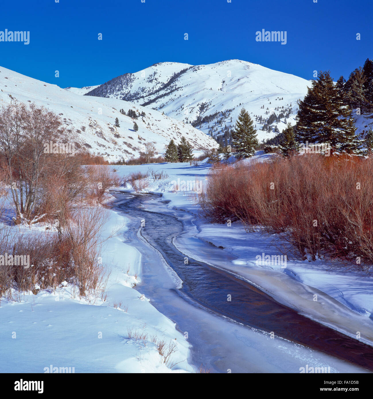little prickly pear creek in winter near silver city, montana Stock ...