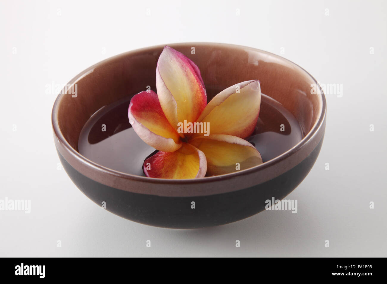 frangipani in a bowl with water Stock Photo - Alamy