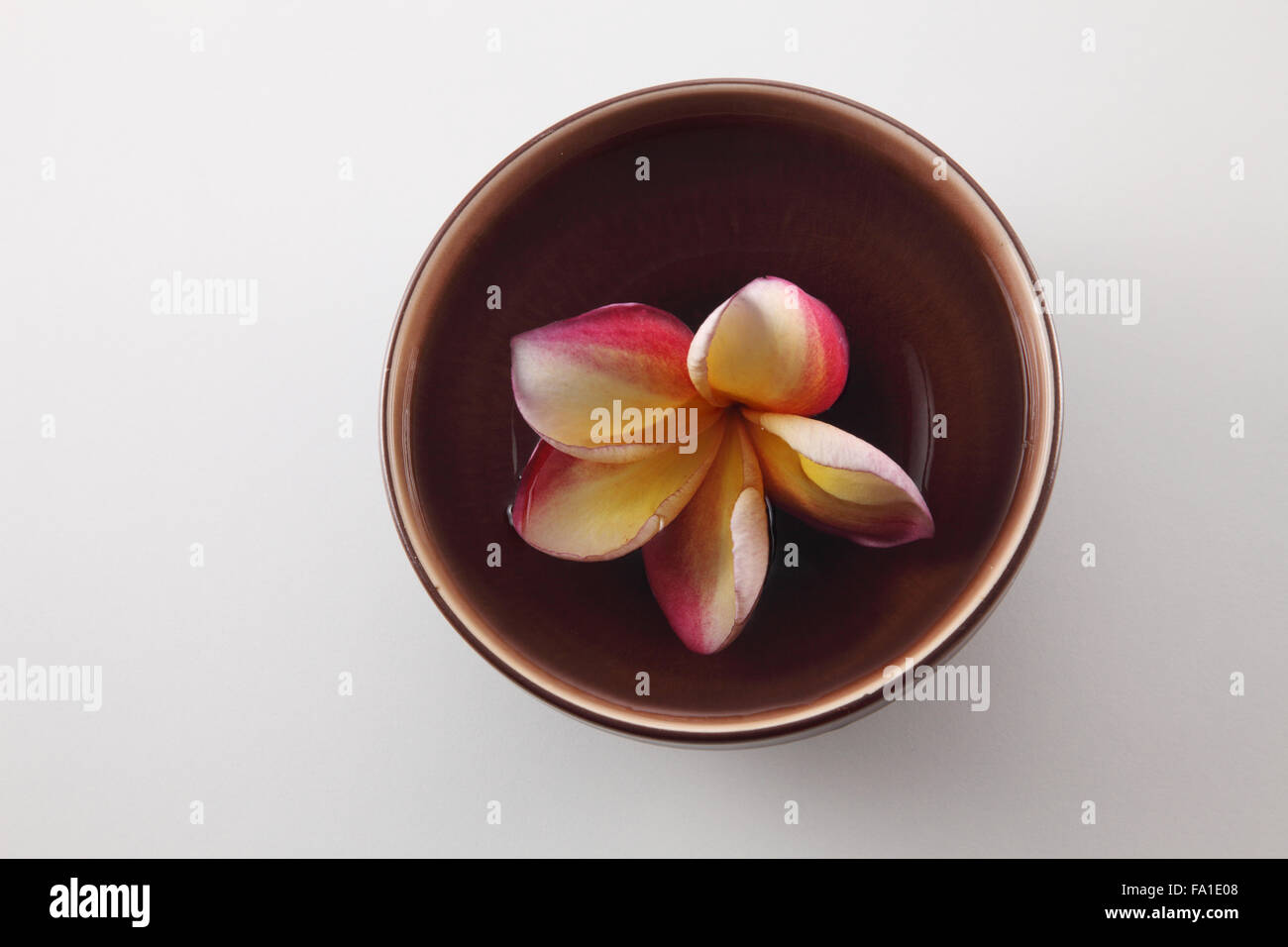 frangipani in a bowl with water Stock Photo - Alamy