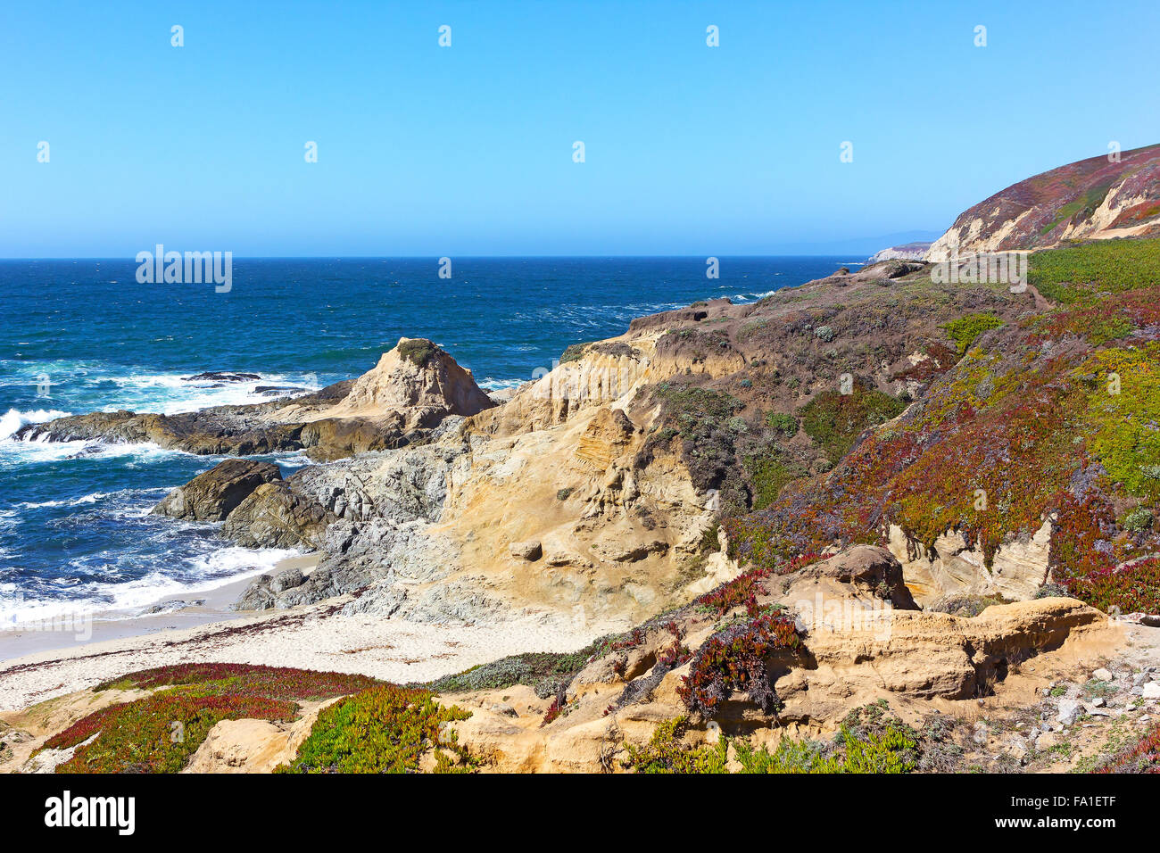 Bodega head hi-res stock photography and images - Alamy