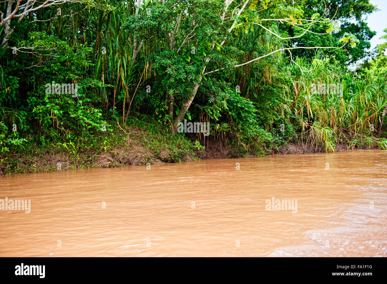 Amazon River Outdoors Stock Photo - Alamy