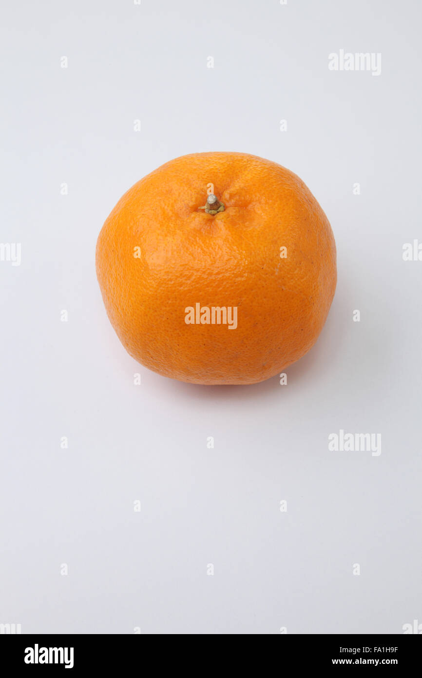 Single mandarin orange on the white background Stock Photo - Alamy