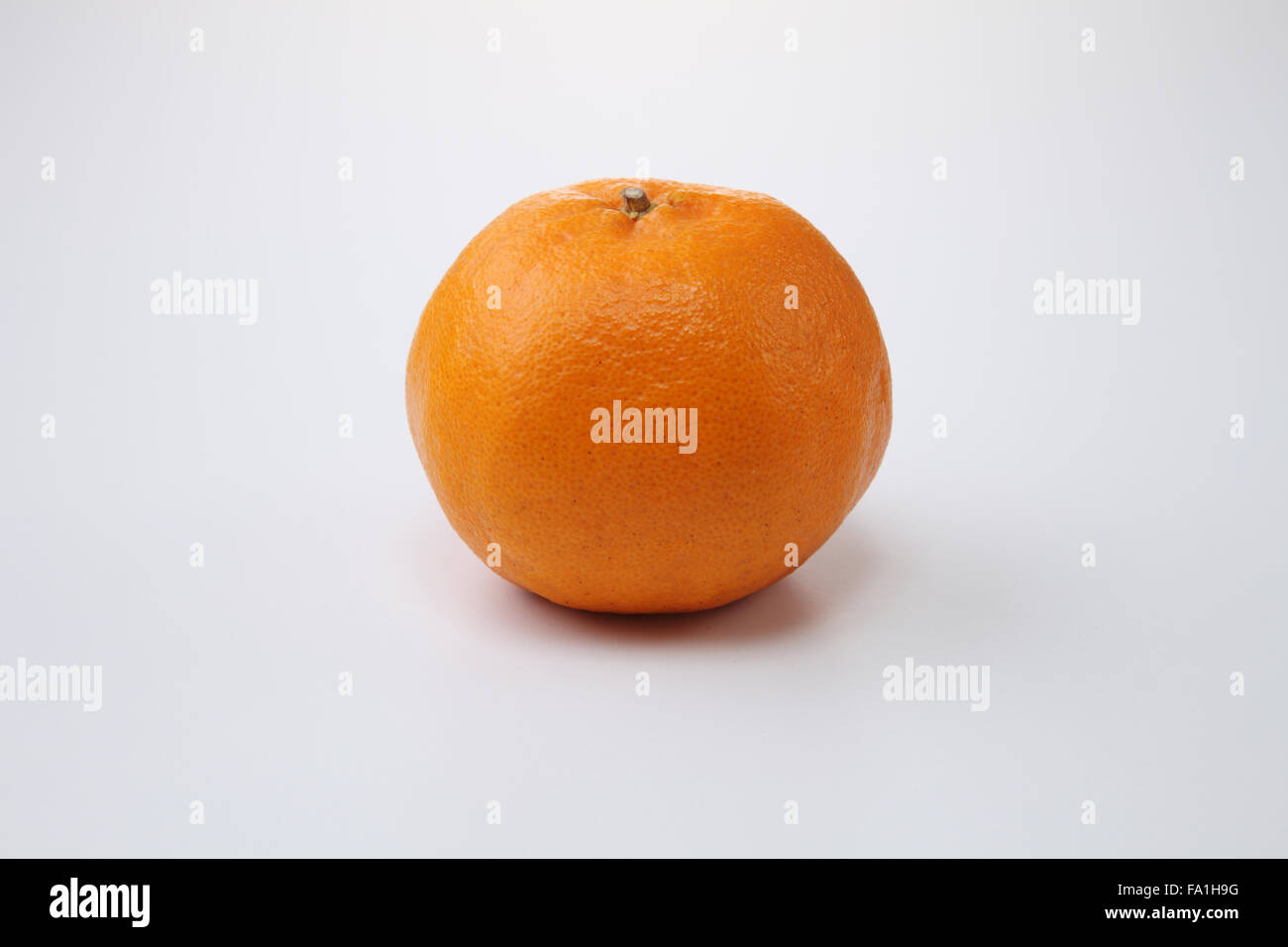 Single mandarin orange on the white background Stock Photo - Alamy