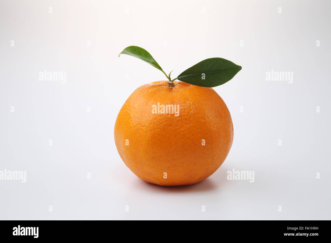 Single mandarin orange on the white background Stock Photo - Alamy