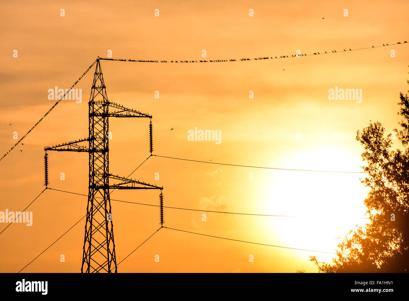 Electricity Pylon Pole Stock Photo - Alamy