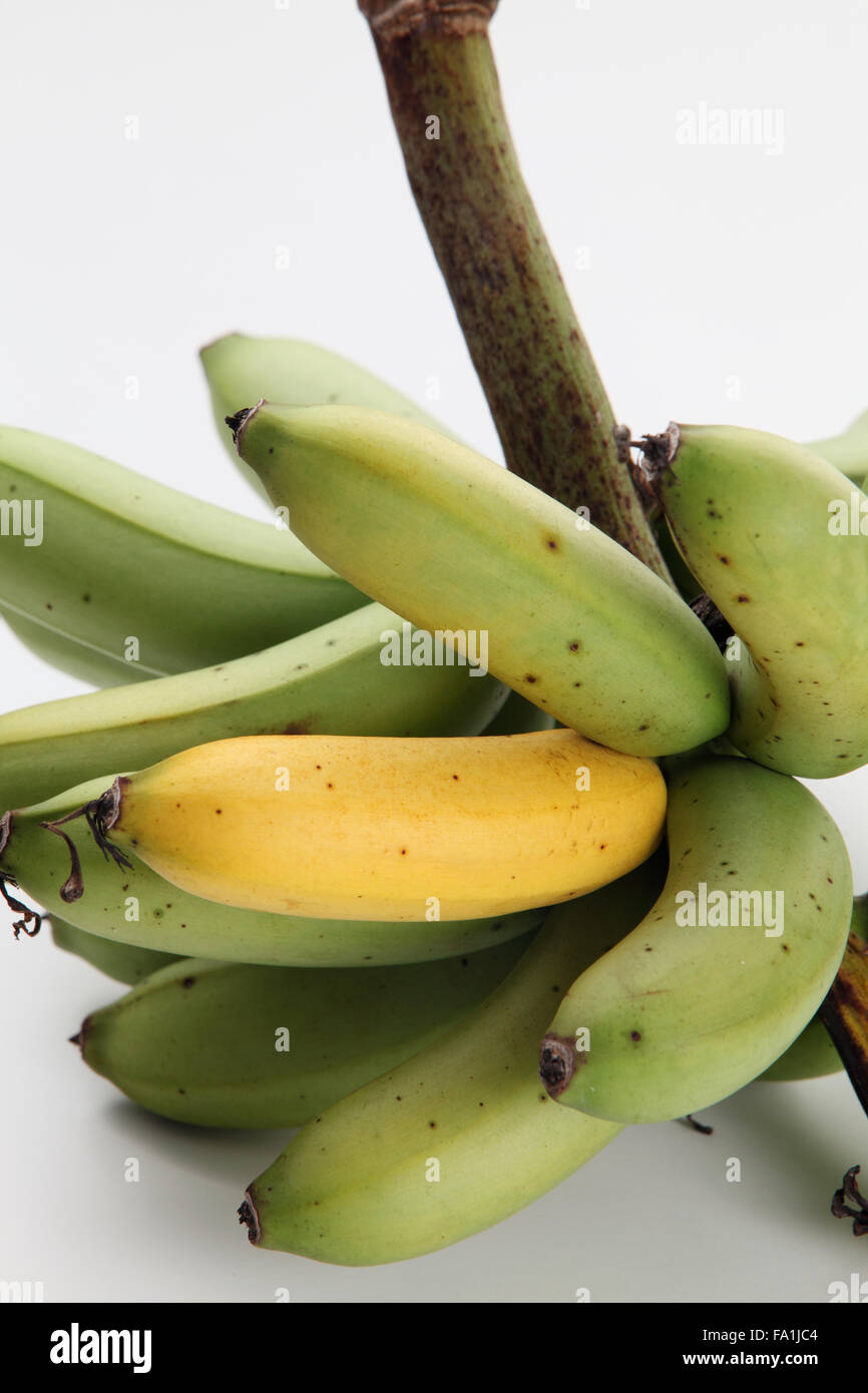 organic banana ripe from the tree Stock Photo - Alamy