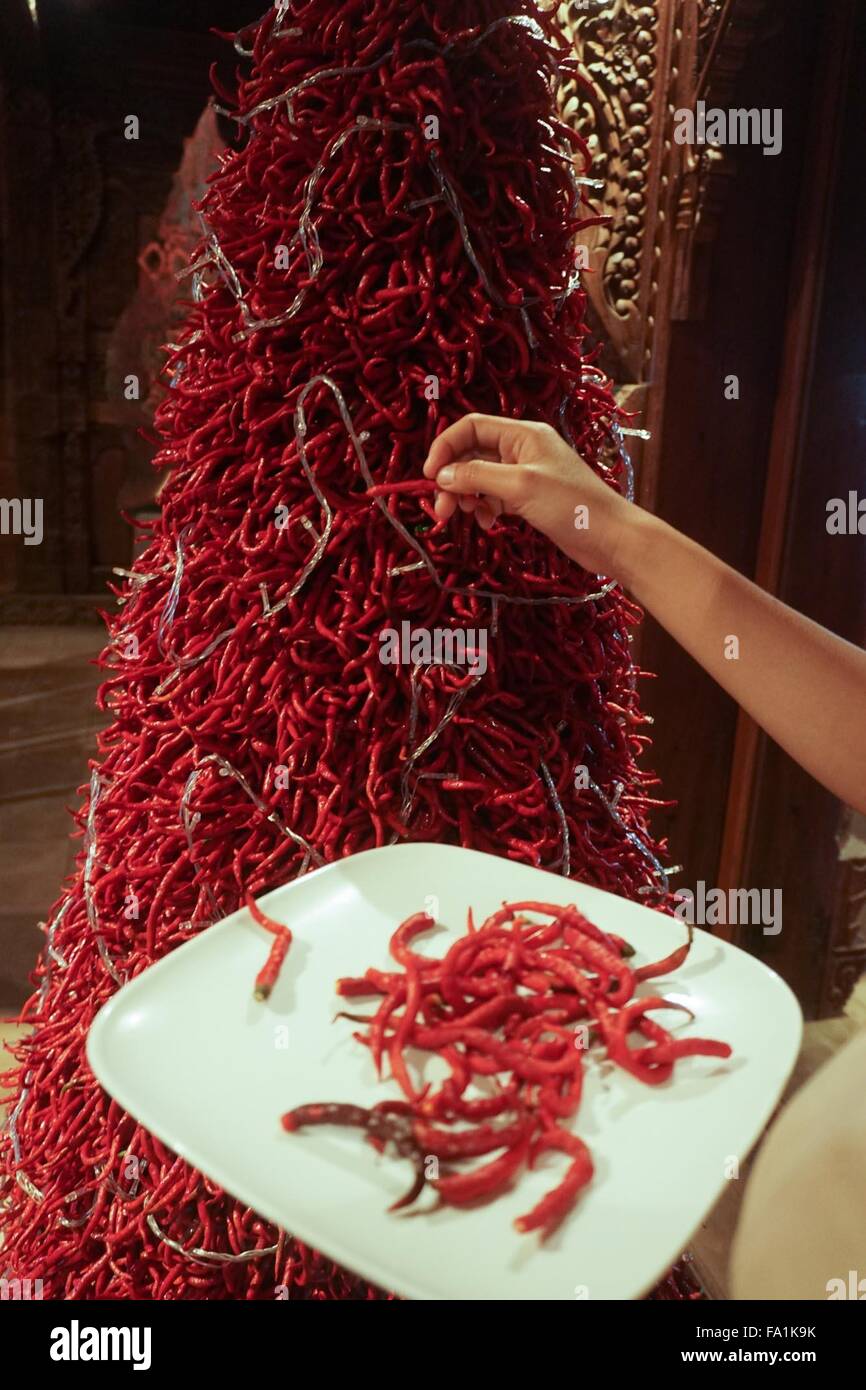 Chilli christmas tree hi-res stock photography and images - Alamy