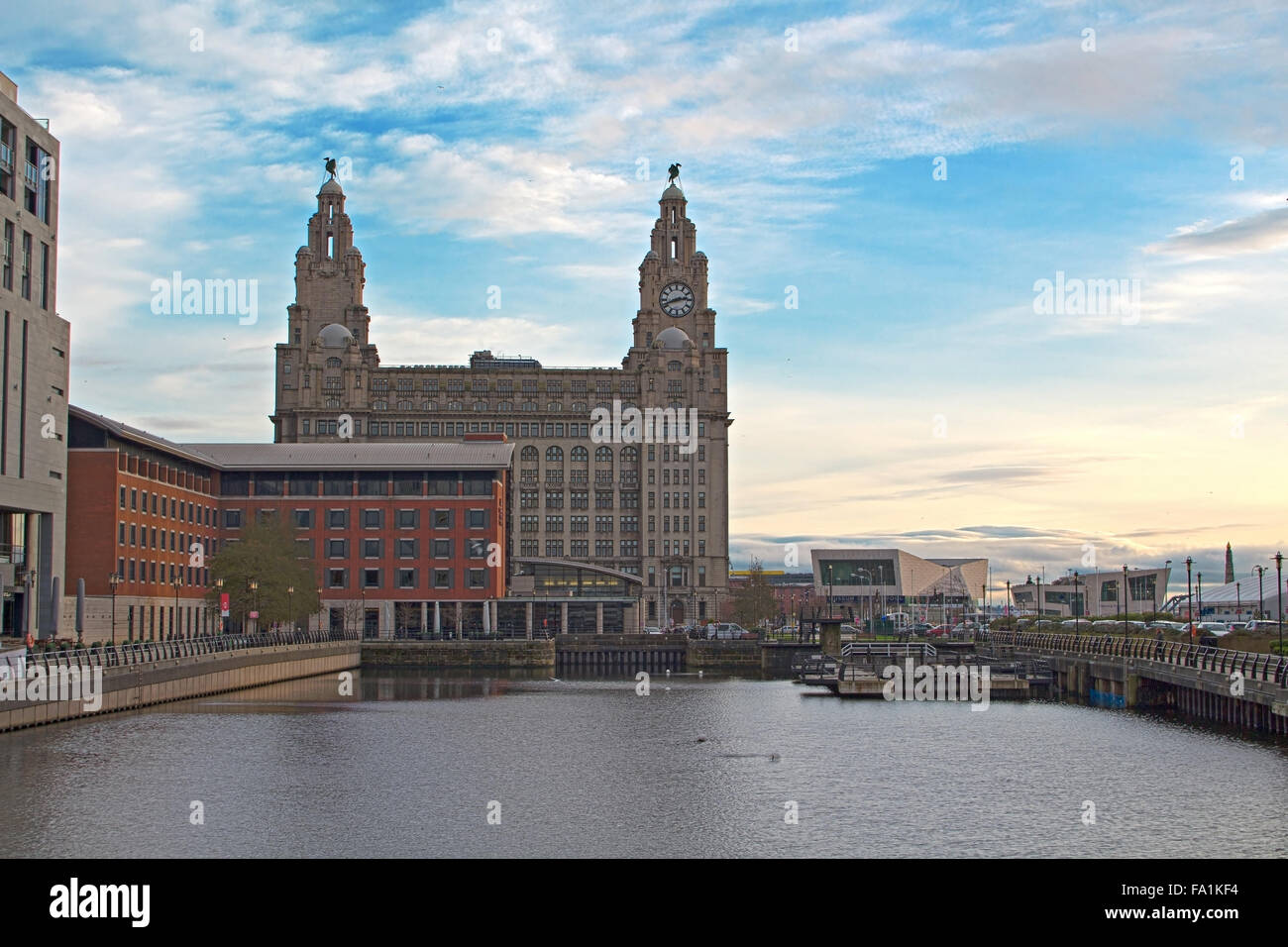Liverpool's Royal Liver Building and surrounding modern offices Stock ...