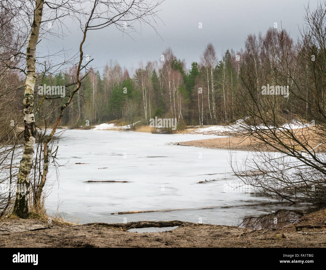 Landscape at the forest lake overcast spring day Stock Photo - Alamy