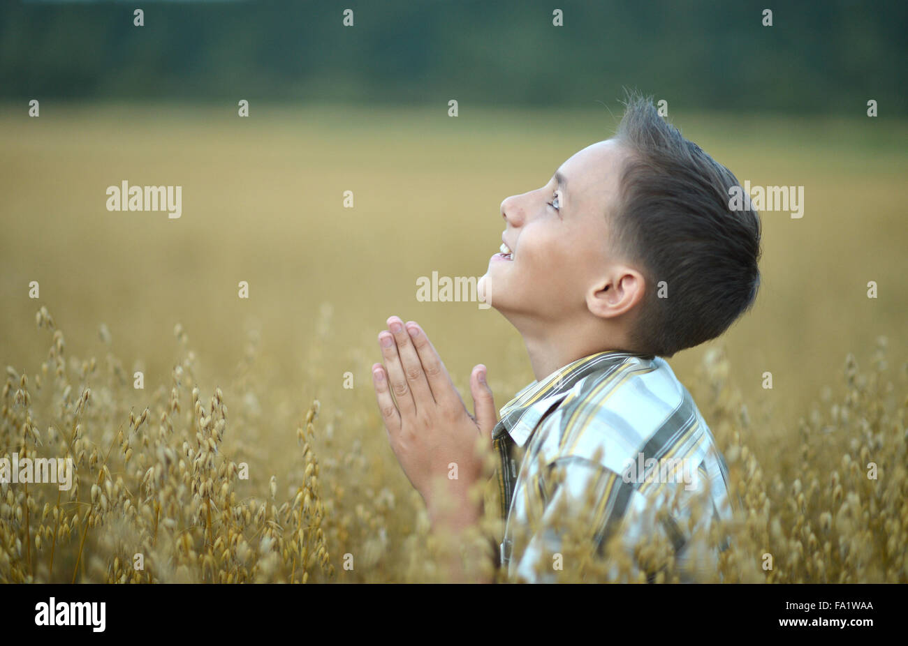 Praying boy in field Stock Photo - Alamy
