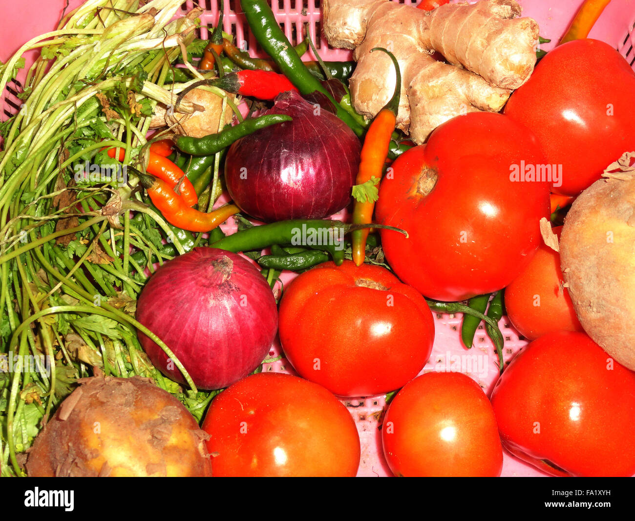 Basket of fresh organic vegetables Stock Photo - Alamy