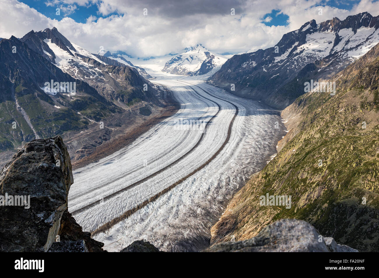The Aletsch Glacier. Aletschgletscher. Eastern Bernese Alps in the ...
