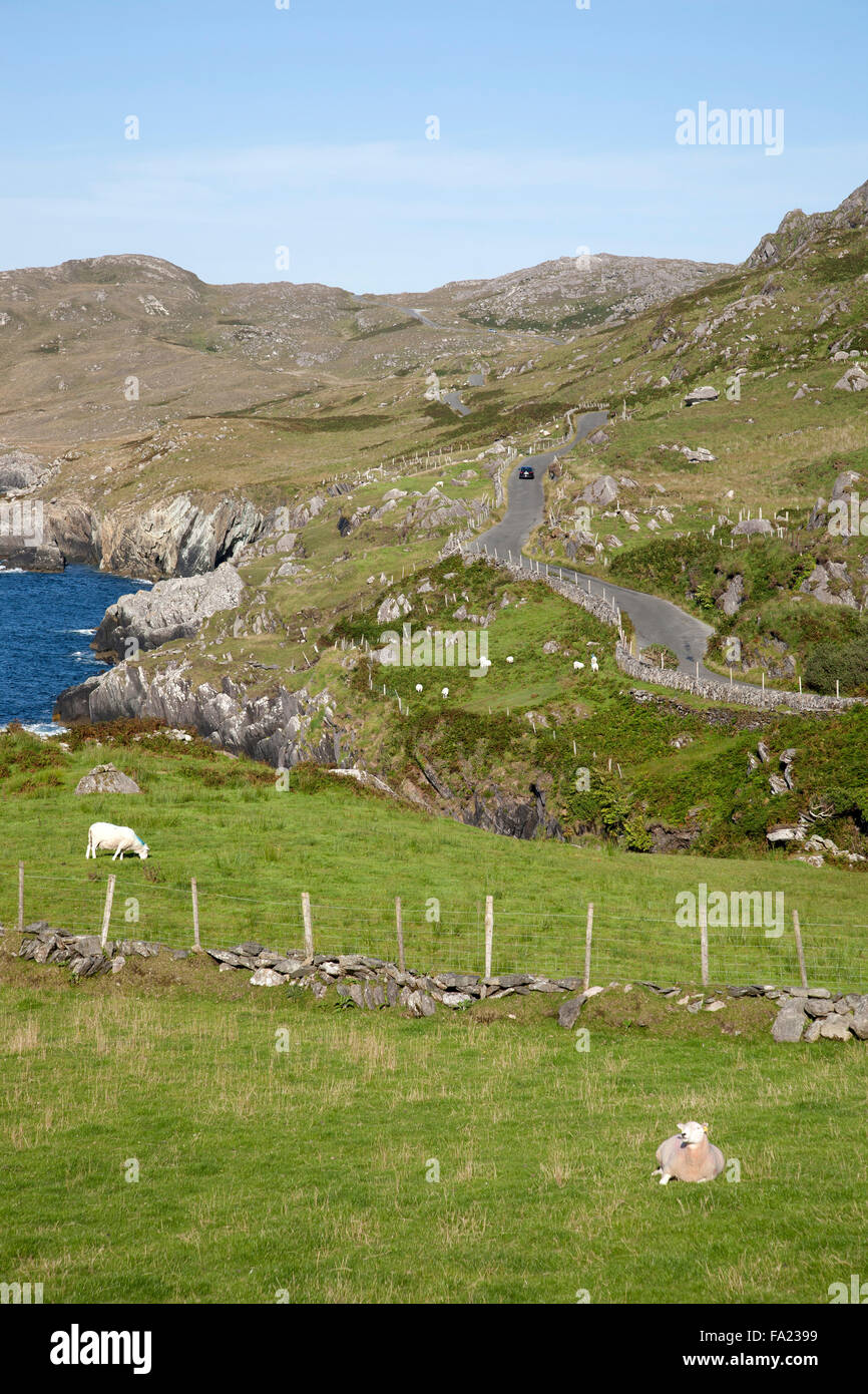 Coast near Urhan Village, Beara Peninsula; Cork; Ireland Stock Photo ...