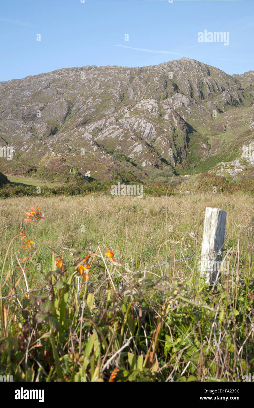 Mountain Range in Beara Peninsula; Cork; Ireland Stock Photo - Alamy