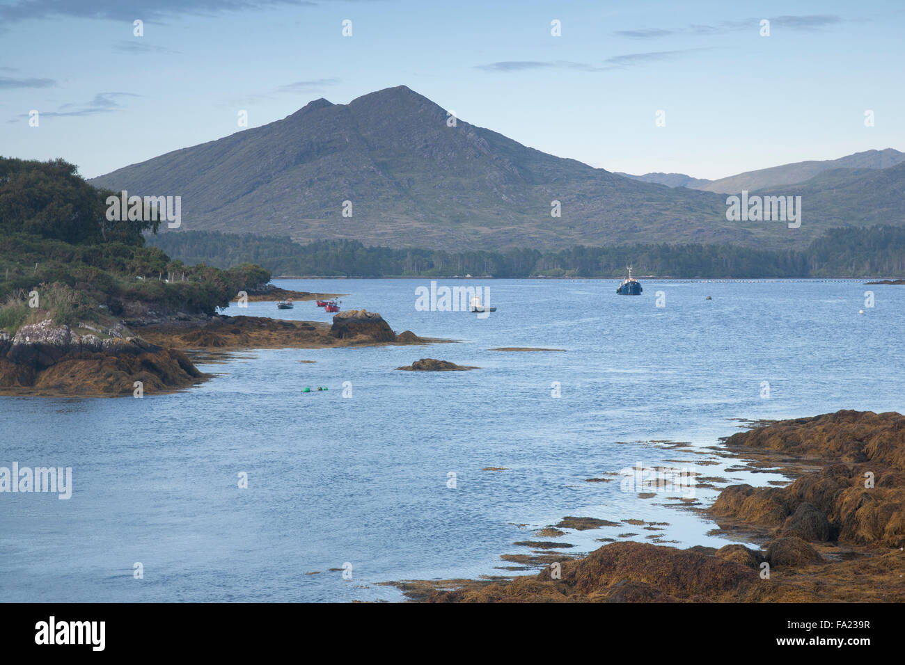 Coast of Beara Peninsula; Cork; Ireland Stock Photo - Alamy