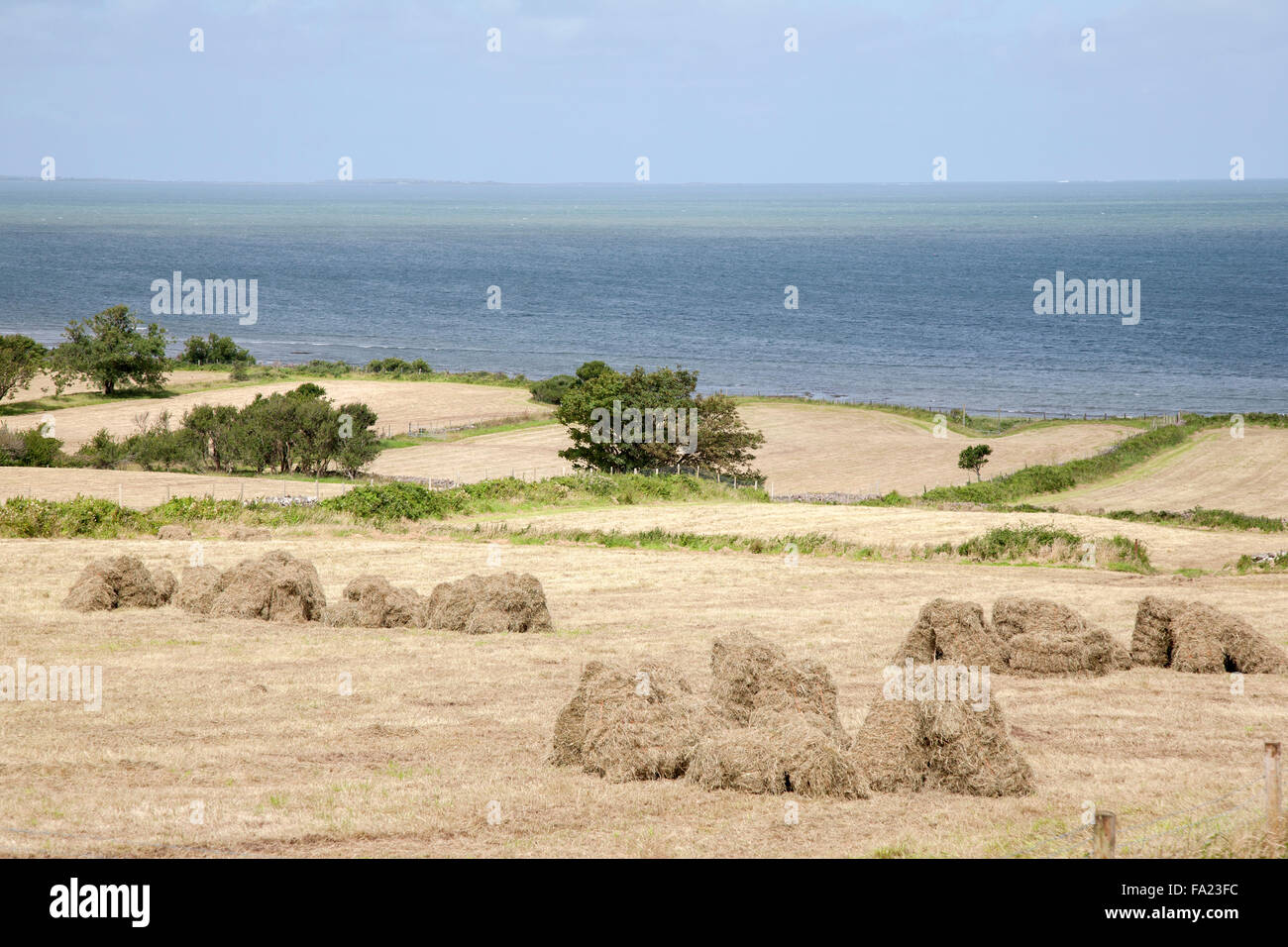 Rural Scene in Camp Village in Dingle Peninsula, Ireland Stock Photo ...