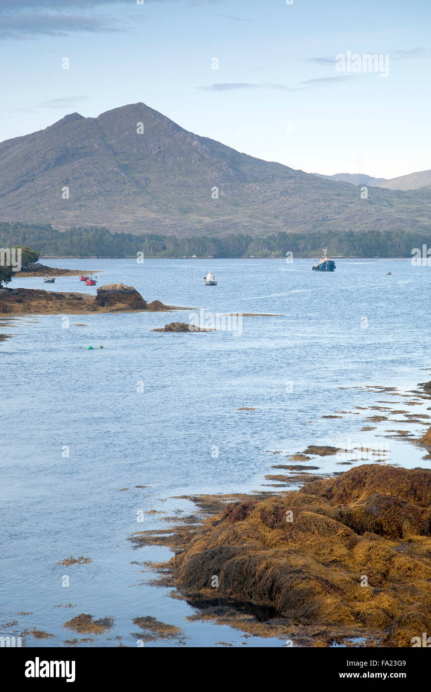 Coast of Beara Peninsula; Cork; Ireland Stock Photo - Alamy