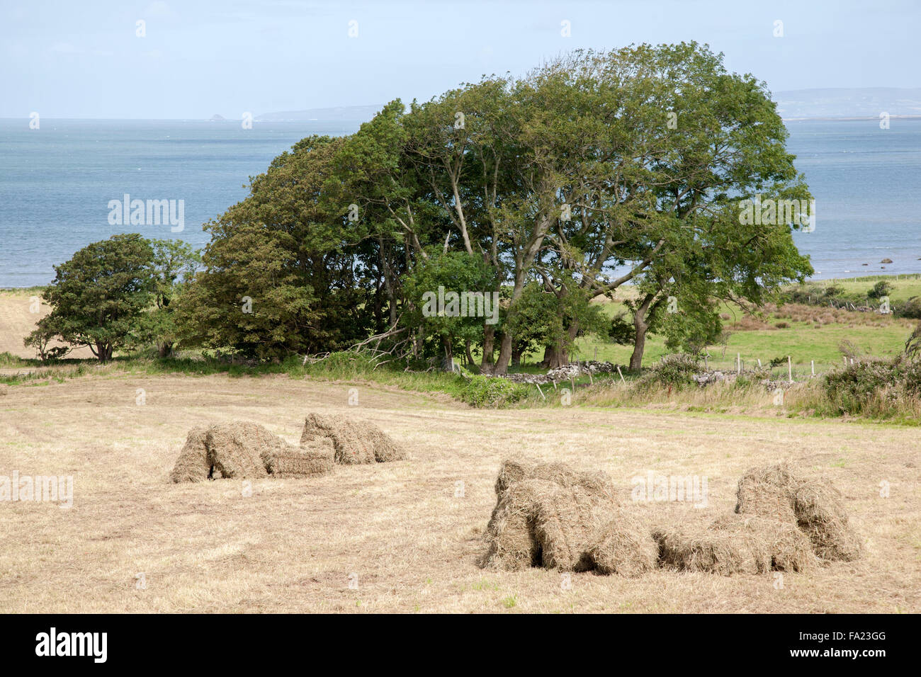 Rural Scene in Camp Village in Dingle Peninsula, Ireland Stock Photo ...